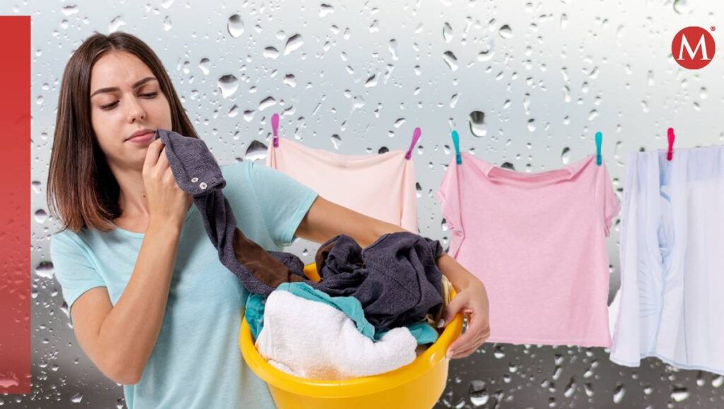 Qué Significa Tener Compromiso Social y Cómo se Manifiesta