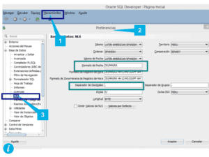 Cómo utilizar el formato de fecha en Oracle para tus consultas