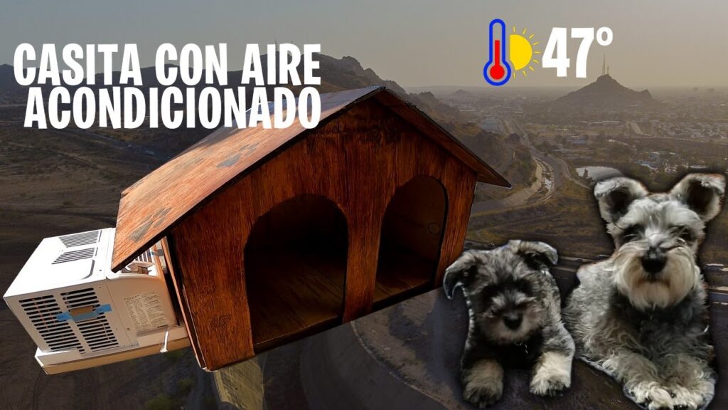 El agua realmente conduce la electricidad y por qué