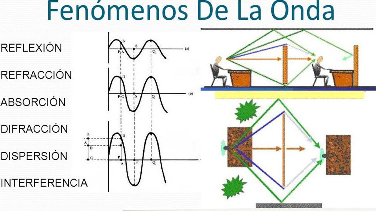 Qué ejemplos ilustran la reflexión de ondas en la vida diaria